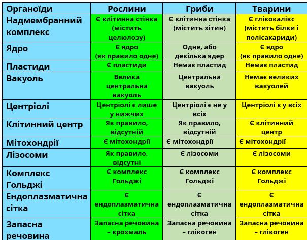 Порівняльна характеристика клітин представників різних Царств — урок